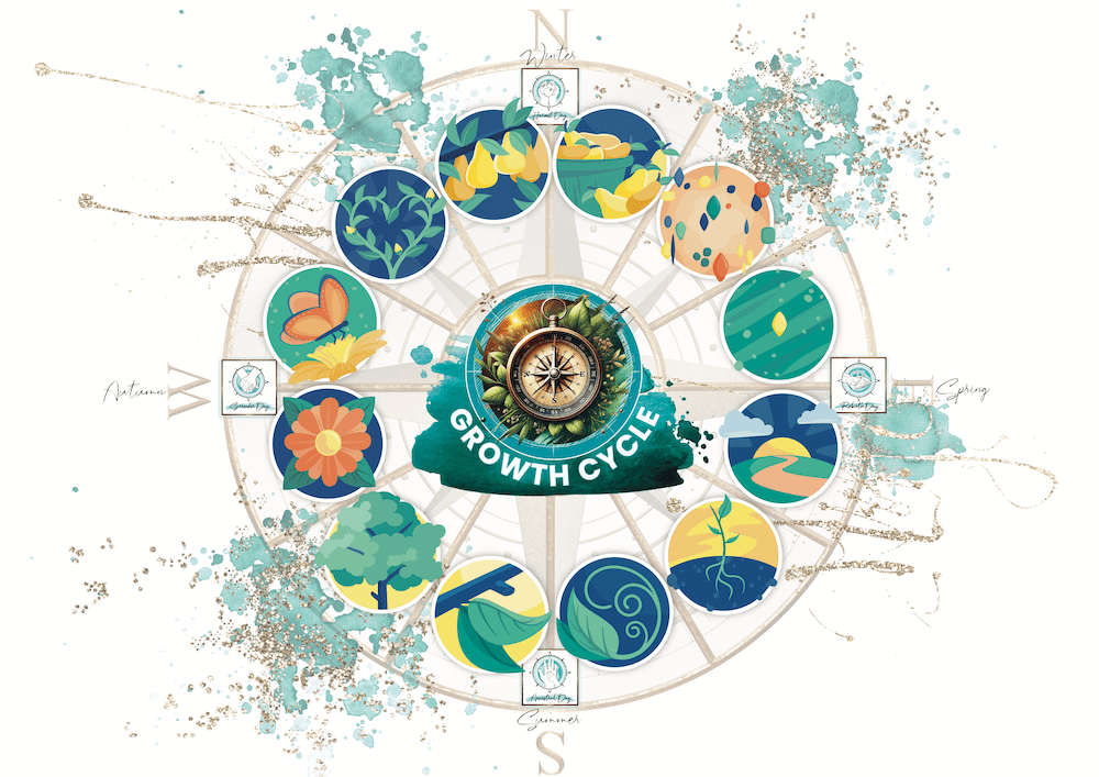 Where Are You On The Growth Cycle? • FIND OUT NOW!